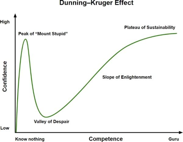 Learning About Car Audio System Design and Installation